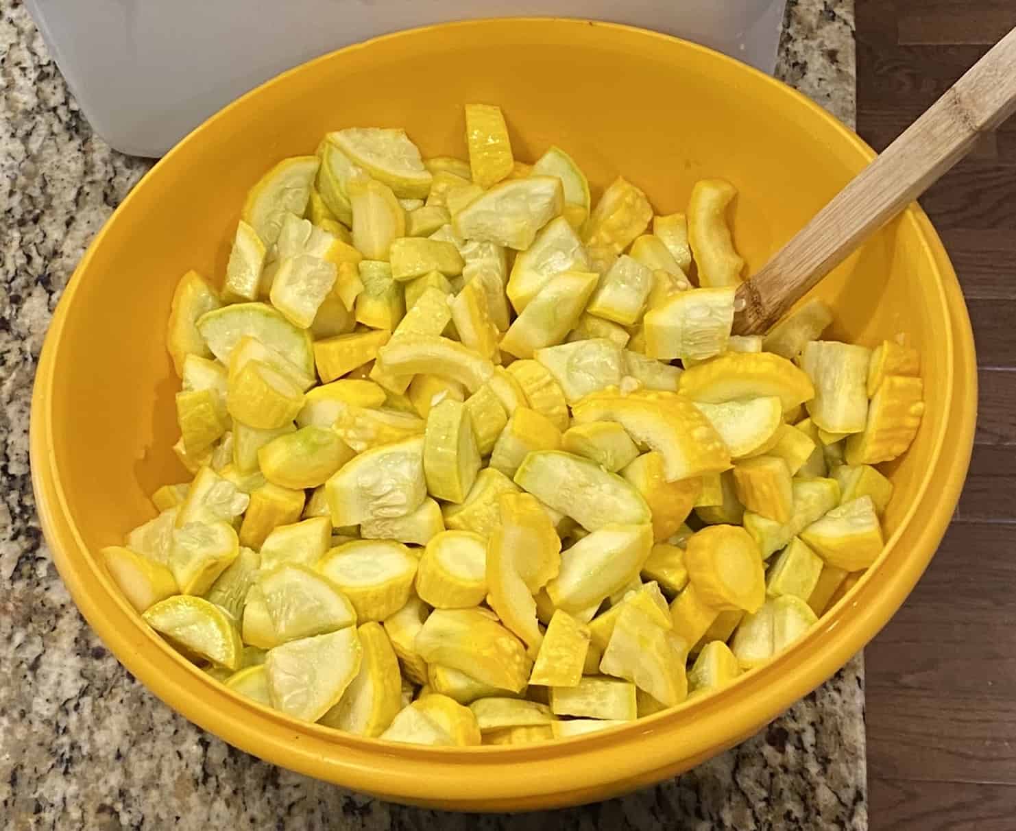 Roasted Summer Squash Recipe